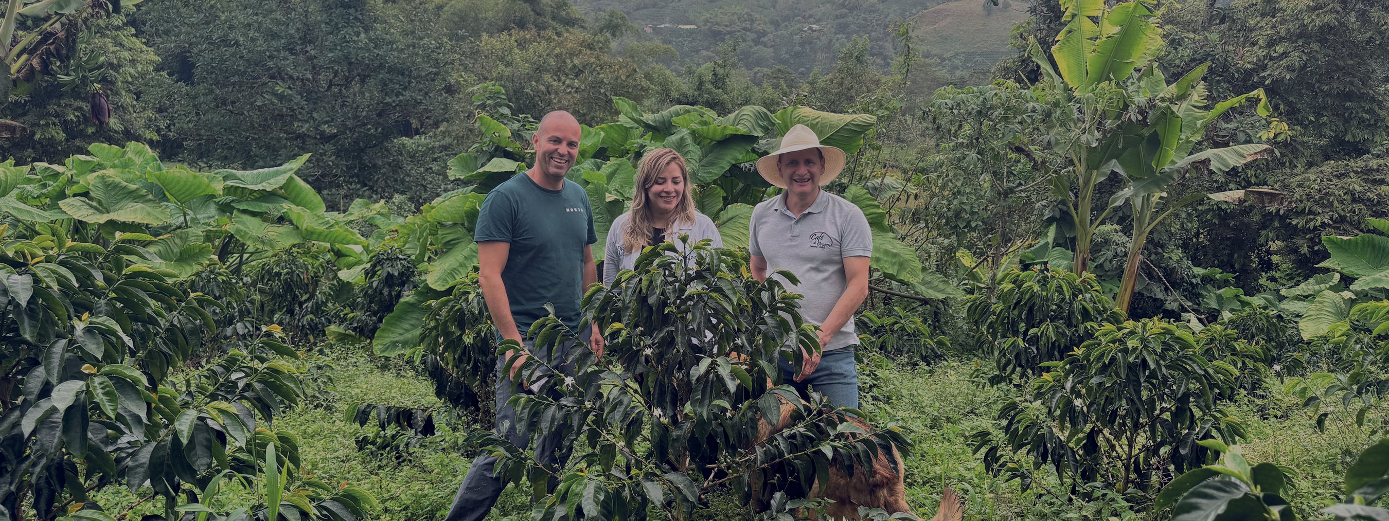 CAFÉ MOKXA – CaféMokxa